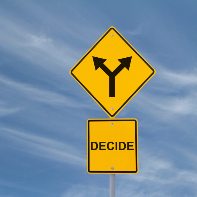 Brain-Wide Decision-Making Dynamics Discovered – StepUp to Learn